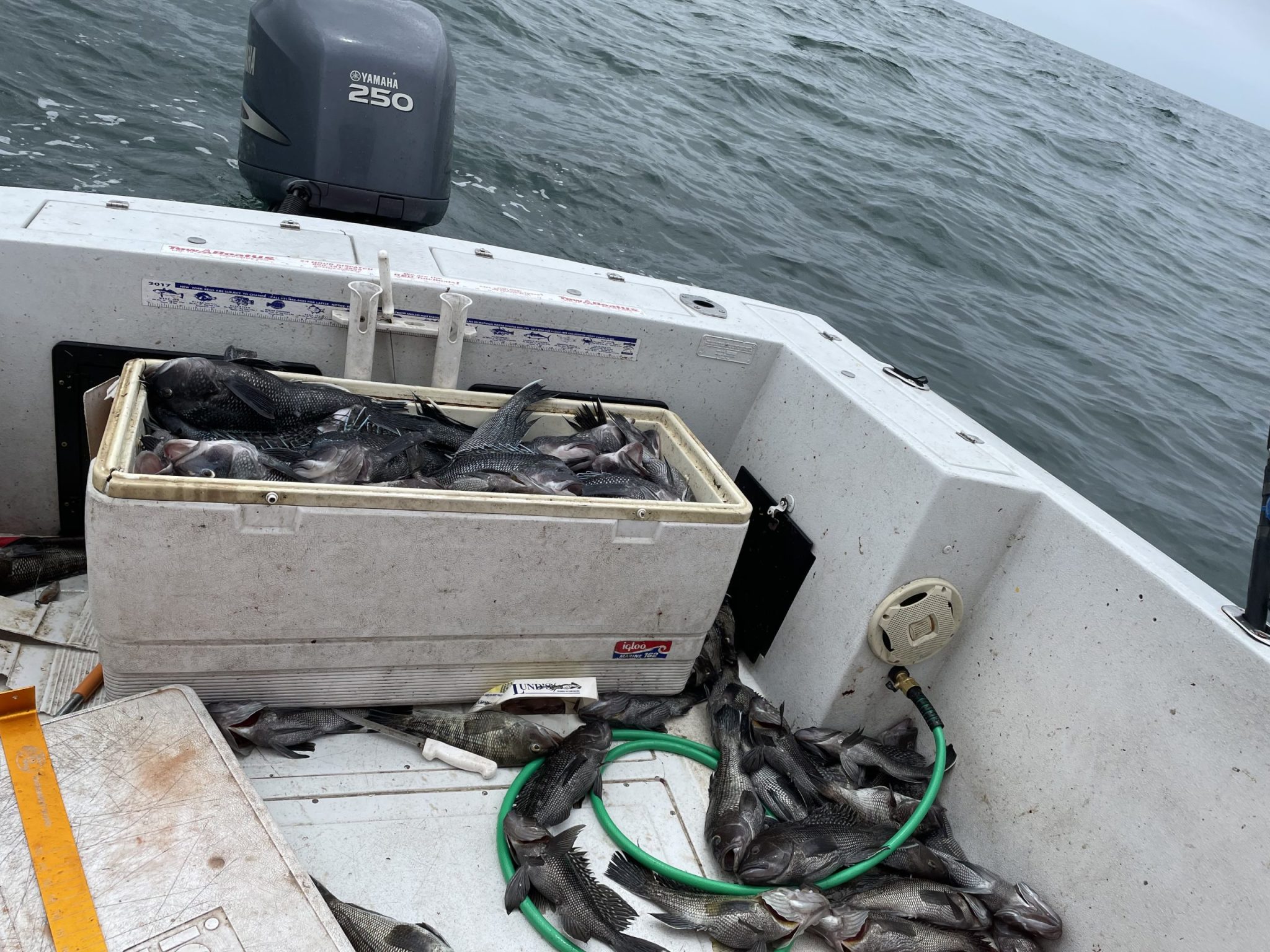 Home - Cambo Fishing Charters - Cape Cod Fishing Charters (508) 525-1922