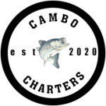 Rates - Cambo Fishing Charters