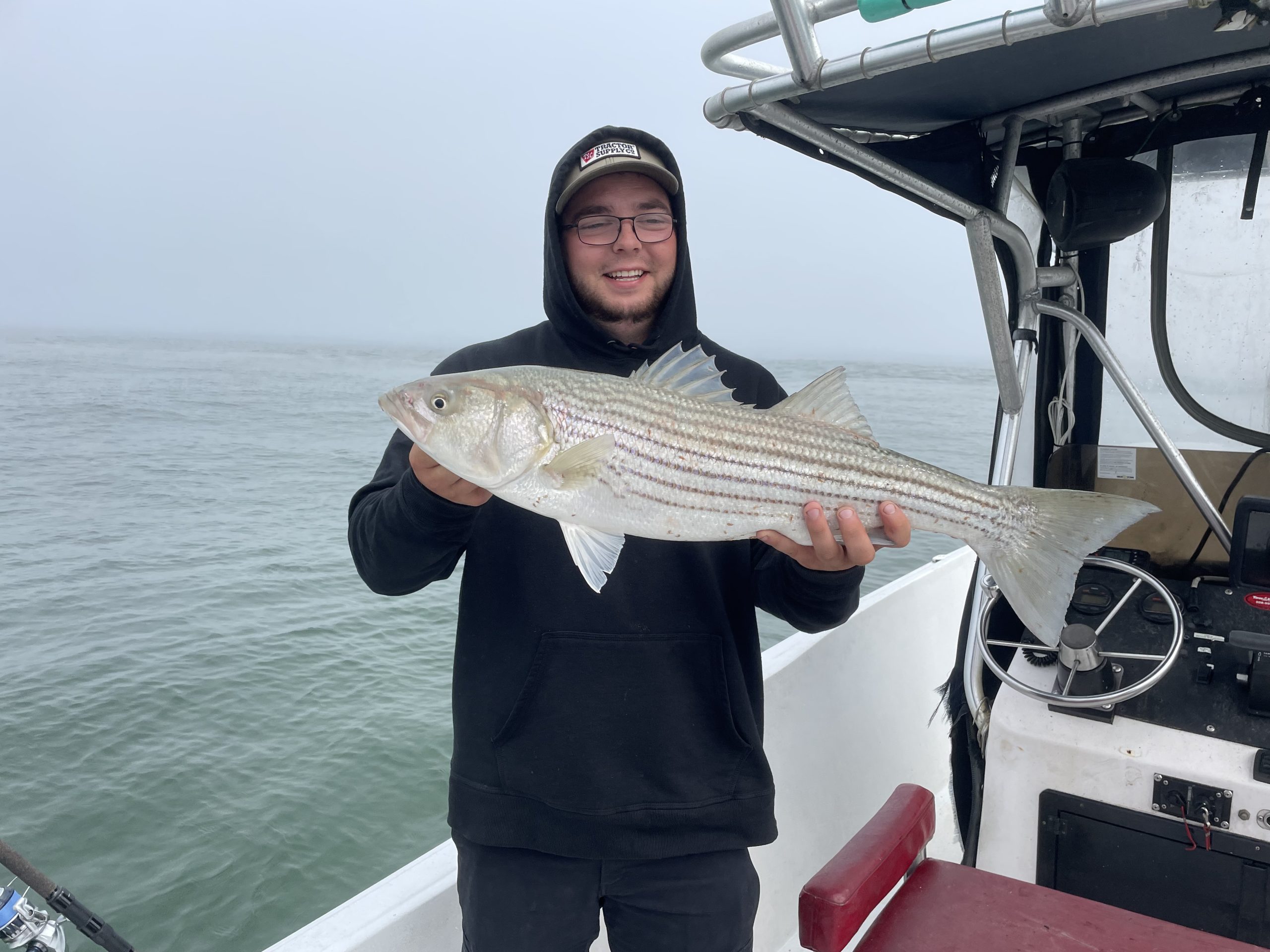 From Sea to Shore: A Closer Look at Cape Cod's Fish Species - Cambo ...